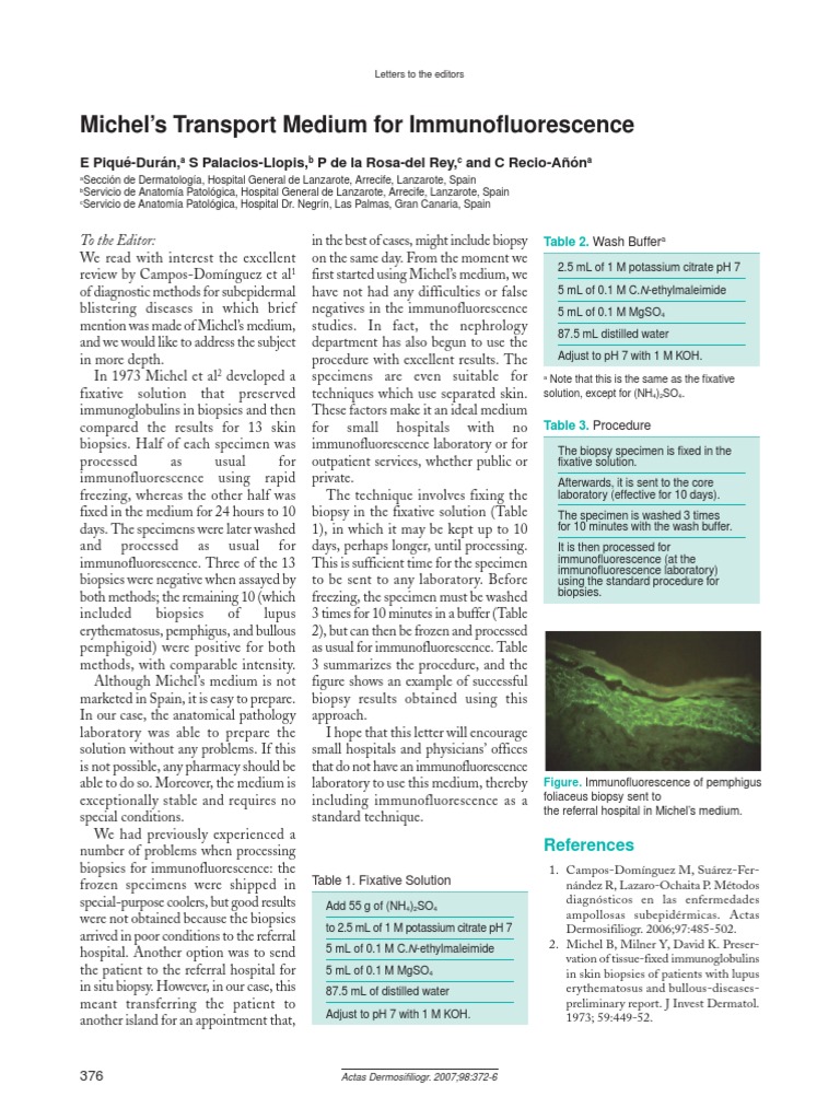 Michel's Transport Medium for Immunofluorescence: An Effective Solution ...