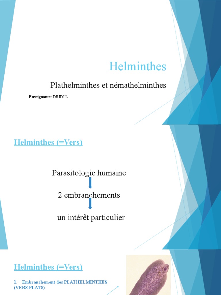 Diapo 2-Helminthes | PDF