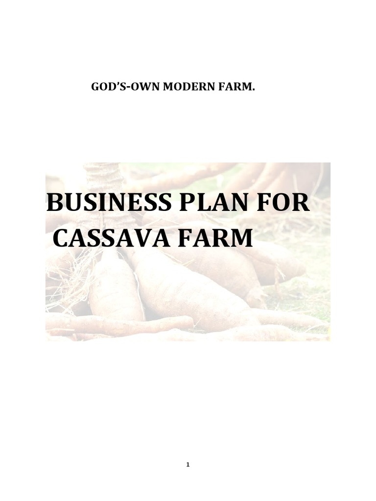 Cassava Farming | PDF | Agriculture | Foods