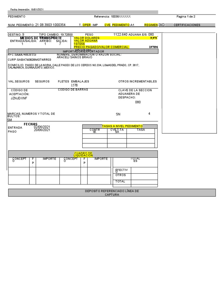 Pedimento A1 Llenar | PDF | Economias | Bancario