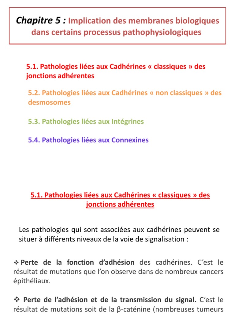 Pathologies des Cadhérines et Intégrines | PDF | Sciences et mathématiques