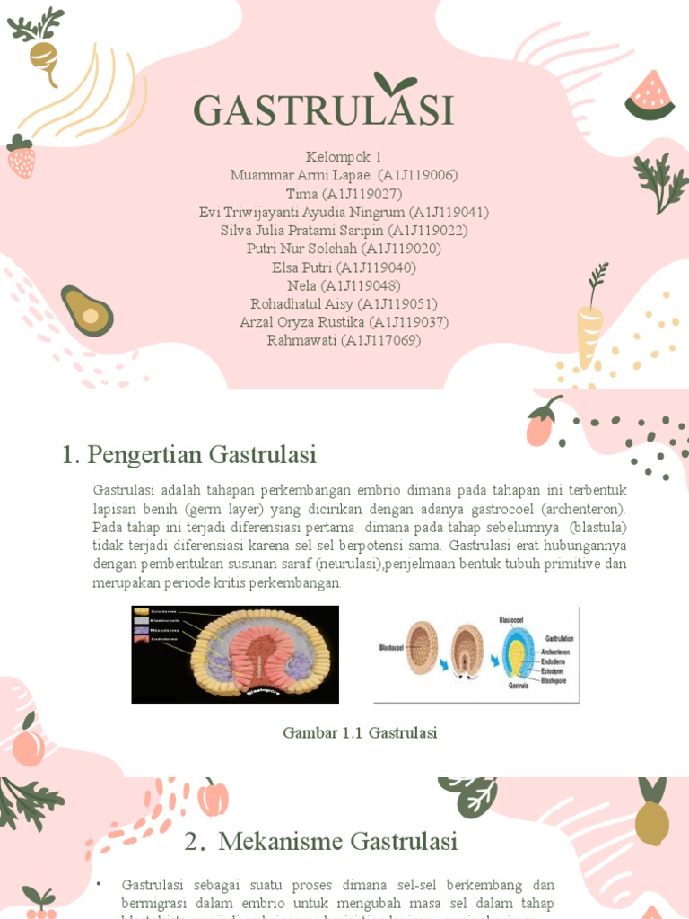Proses Gastrulasi pada Berbagai Hewan | PDF | Griya & Taman