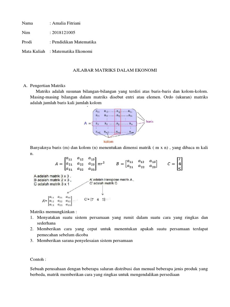 Matriks dalam Ekonomi: Konsep dan Aplikasi | PDF