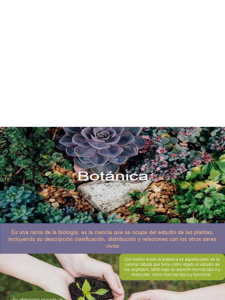 Definición y ramas de la botánica | PDF | Plantas | Biología