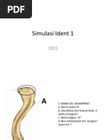 Anatomi Cavum Oris | PDF | Kajian Bahasa Asing