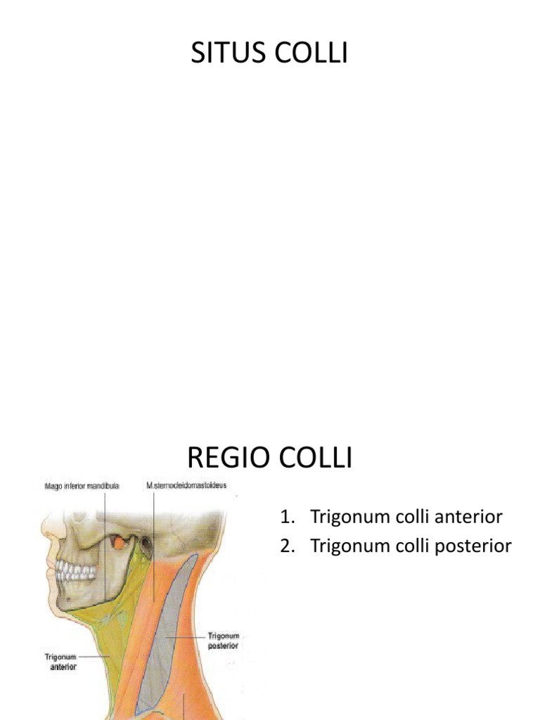 Situs Colli 2014 | PDF