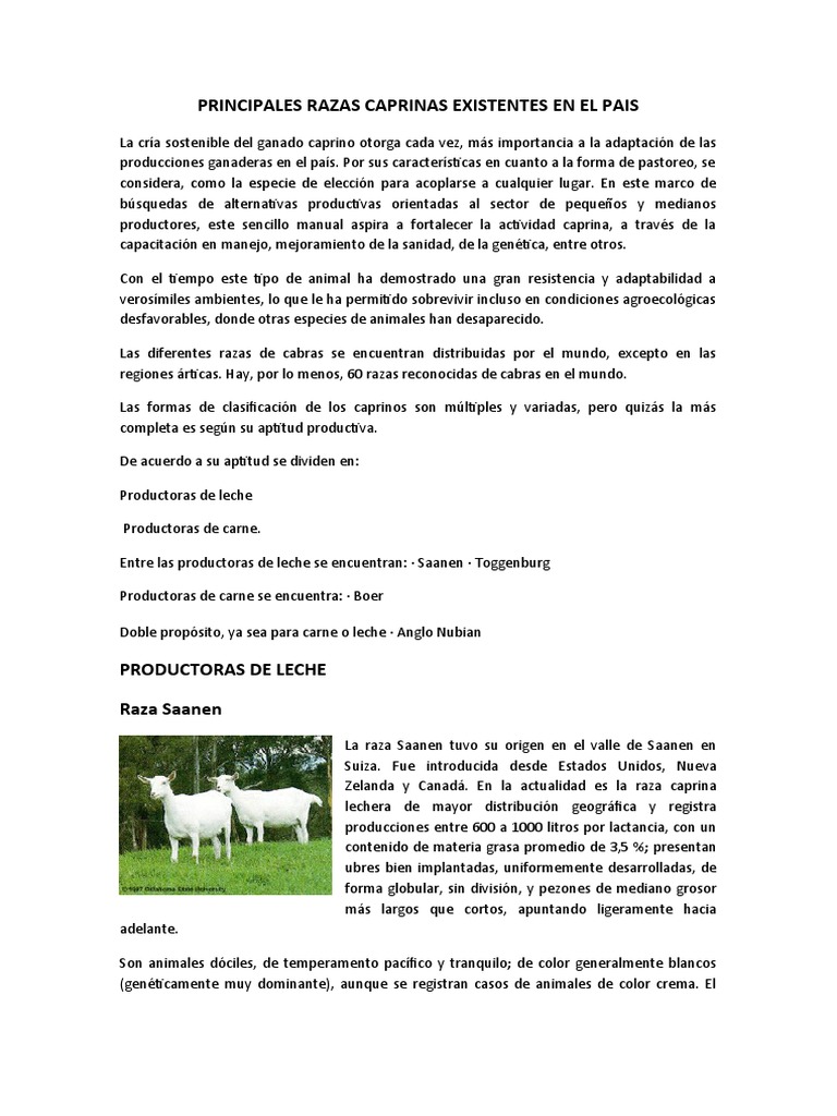 Principales Razas Caprinas Existentes en El Pais | PDF | Ganadería ...