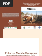 Kudetemba Mutupo Mukanya | PDF