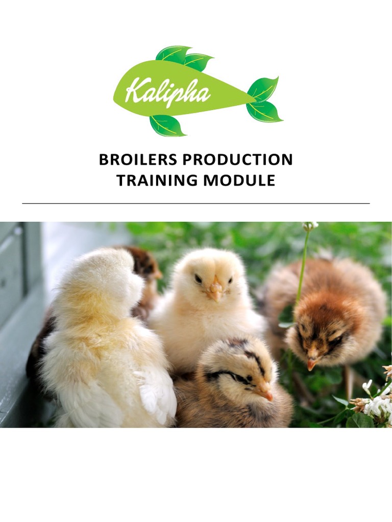 Broilers Production Training Module | PDF | Broiler | Diarrhea