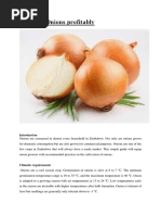 Onion Farming Manual | PDF