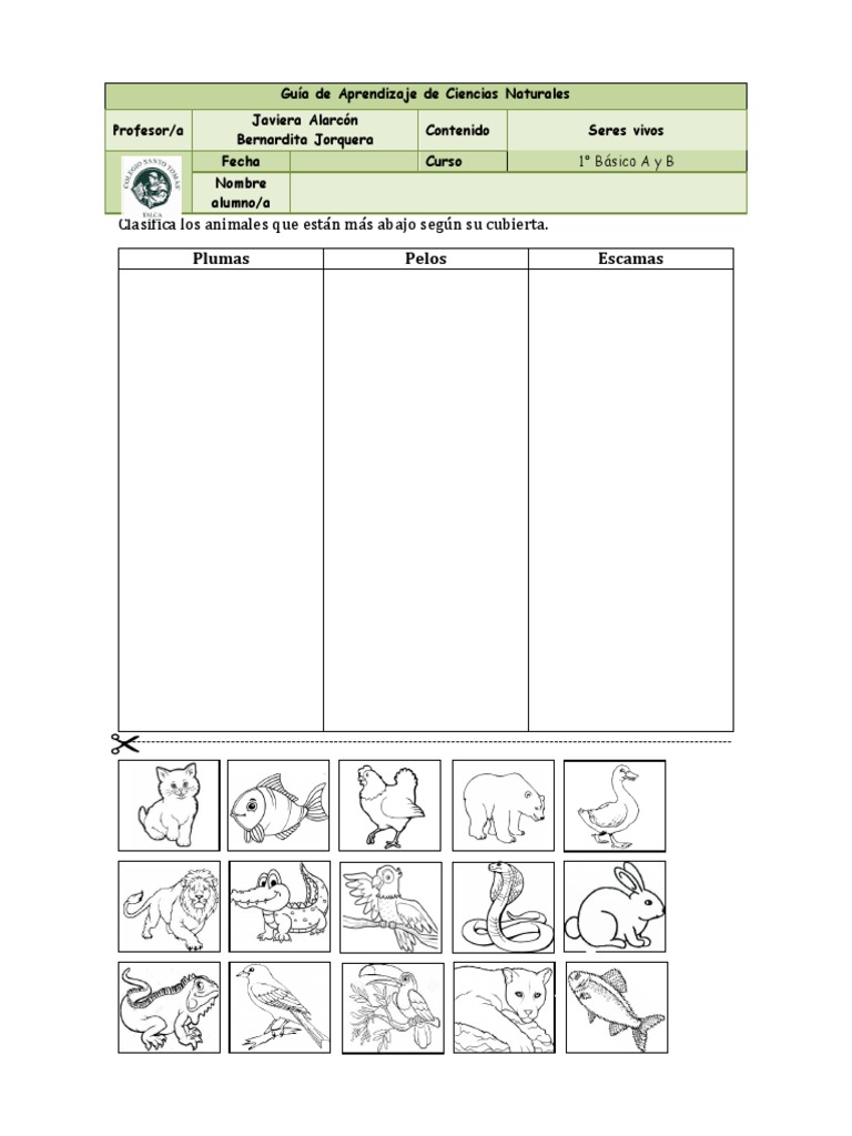 Clasificación de Animales por Cubierta | PDF