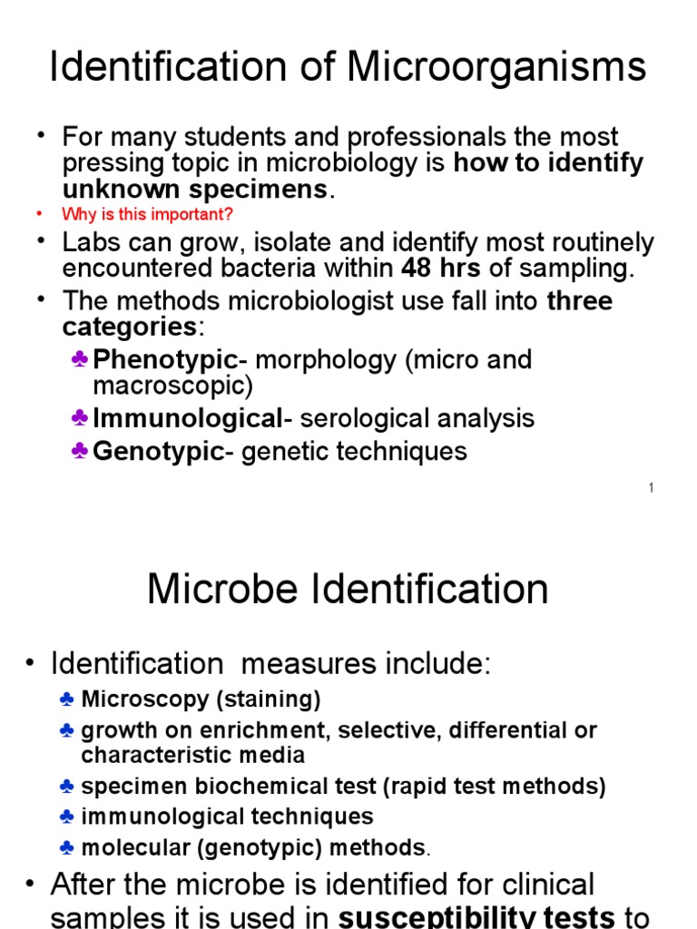 Identification of Microorganisms: Unknown Specimens | PDF | Medical ...