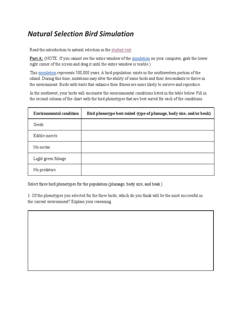 Sumaira's Natural Selection Bird Simulation | PDF | Natural Selection ...