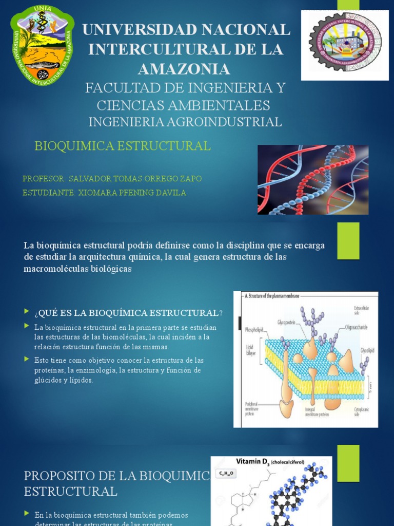 Bioquimica Estructural | PDF | Carbohidratos | Lípido
