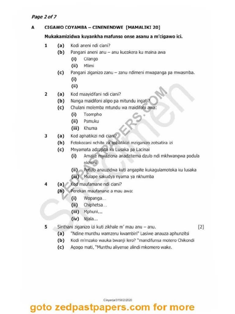g12 Chinyanja p2 2020 Specimen | PDF