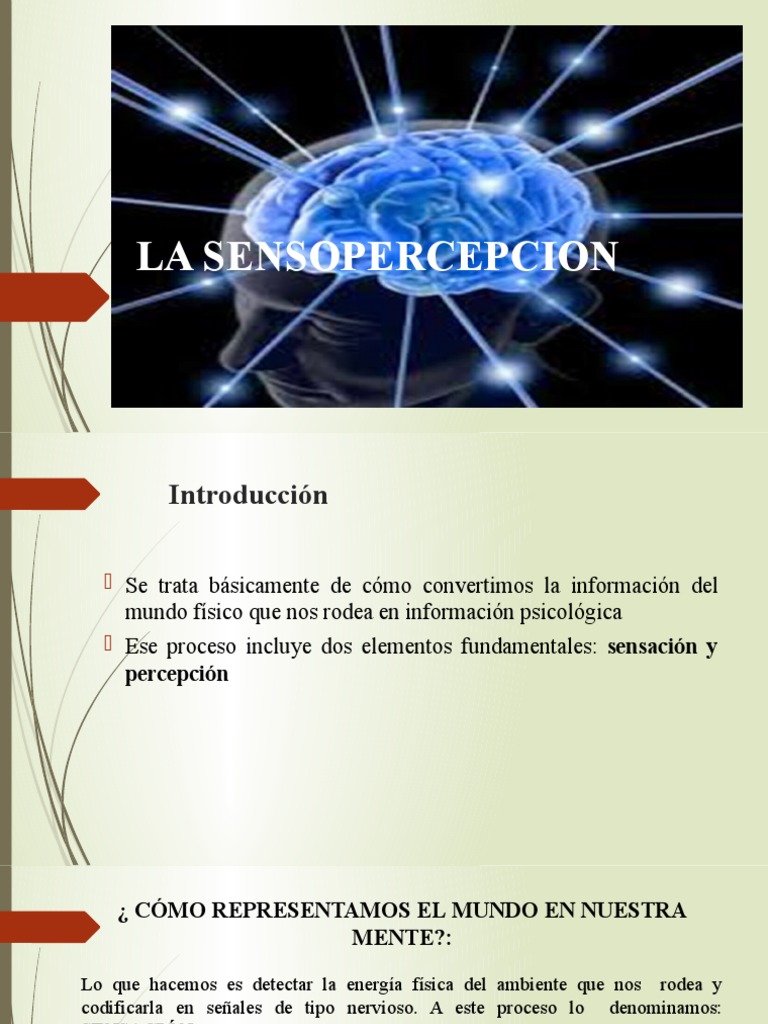 introducción a la sensopercepcion | PDF | Sentidos | Percepción