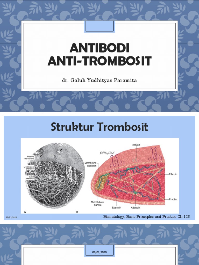 4.1 Antibodi Trombosit | PDF | Clinical Pathology | Serology