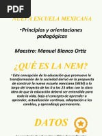 Lineas de Acción de La NEM: 1. Revalorización Del Magisterio 3 ...