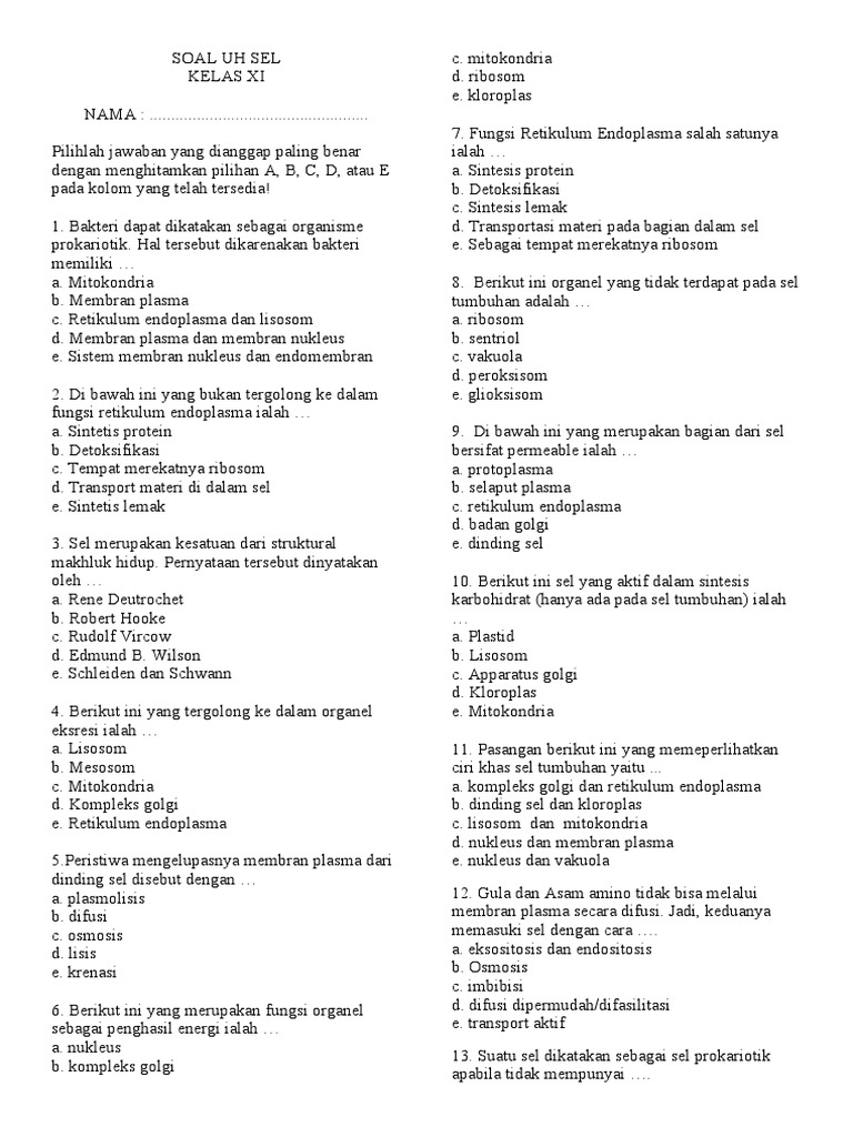 Soal Uh Sel | PDF