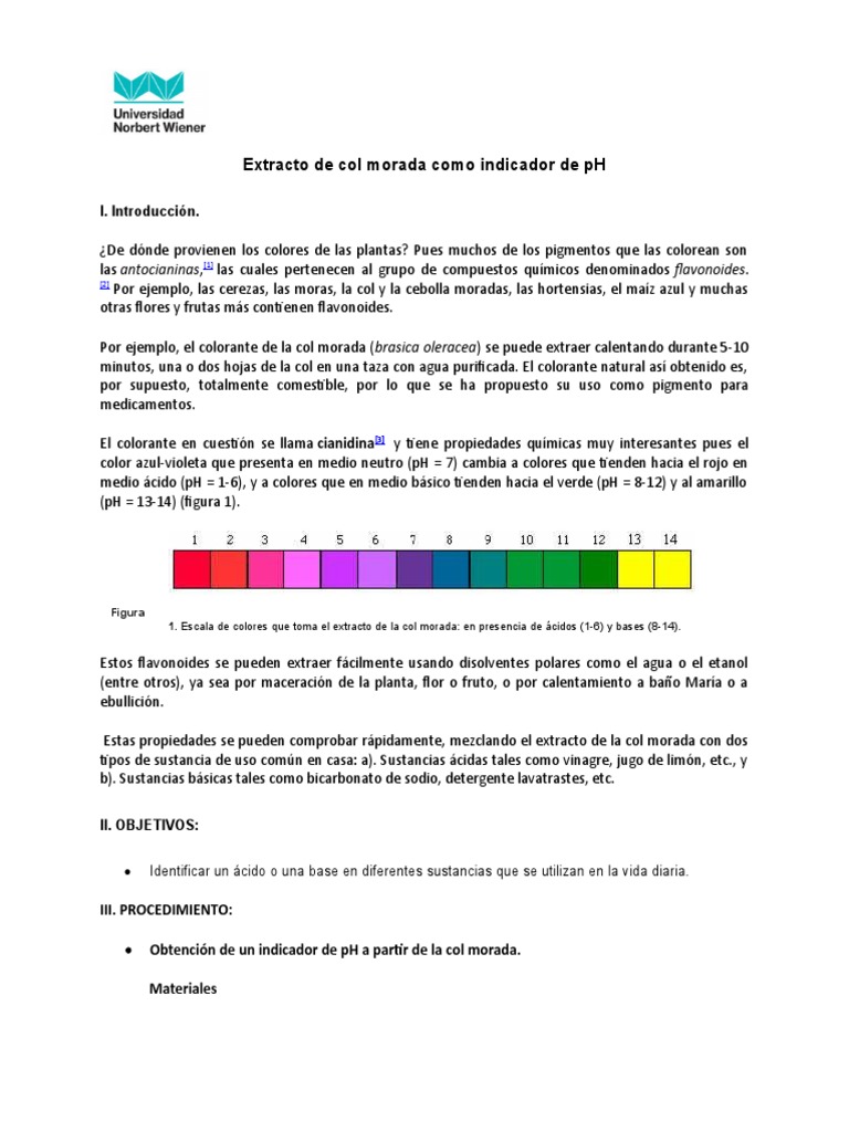 Indicador de pH con col morada | PDF | Flavonoide | Agua