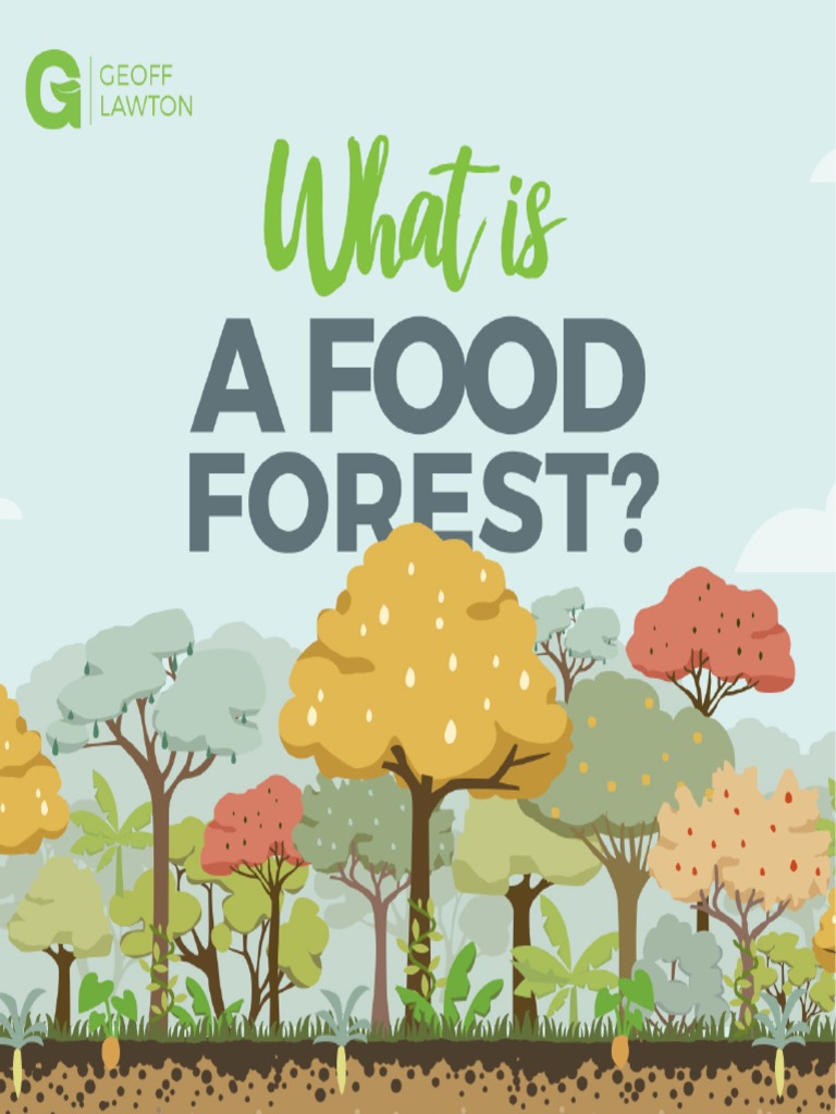 Flipbook What Is A Food Forest | PDF