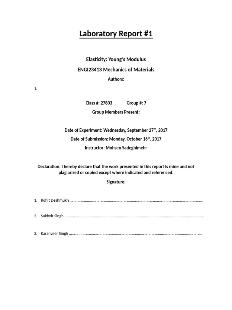 Elasticity Lab Report | PDF | Young's Modulus | Elasticity (Physics)