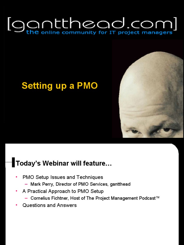 MP 2009-09-03 Setting Up A PMO | PDF | Project Management | Economies