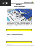Flight Safety Demonstration Script 1 | PDF