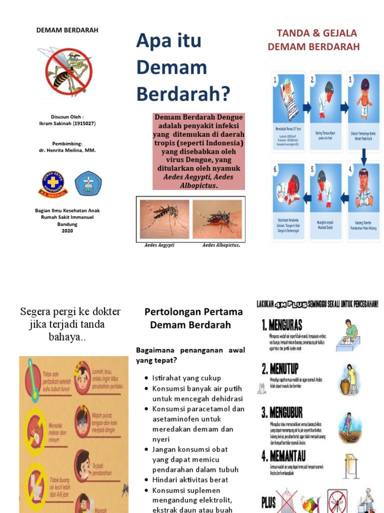 Leaflet Mother Teaching - DBD - Dr. Henrita Meilina, MM | PDF