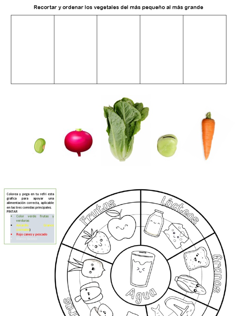 Ruleta de Comida | PDF