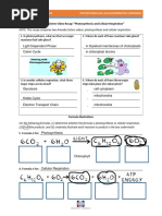 Brendan G Irvin - Amoeba Sisters Photosynthesis and Respiration Video ...