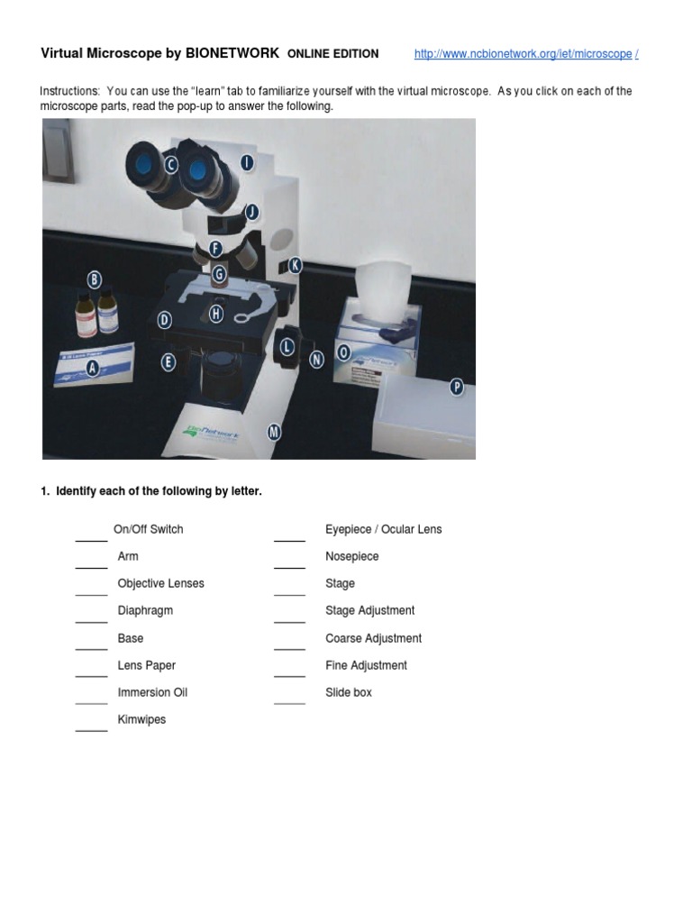 Virtual Microscope Lab 1 | PDF | Tissue (Biology) | Chloroplast