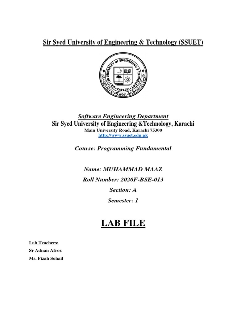 2020f Bse 013 P Fund Lab File | PDF | Control Flow | Parameter (Computer Programming)