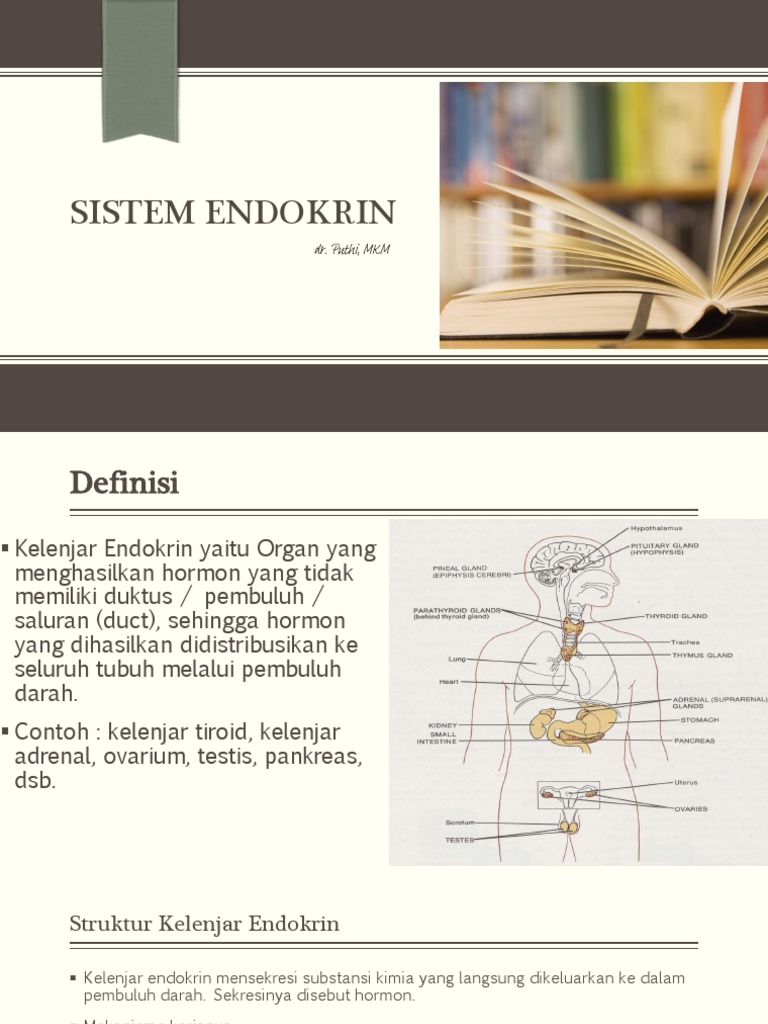 Sistem Endokrin | PDF