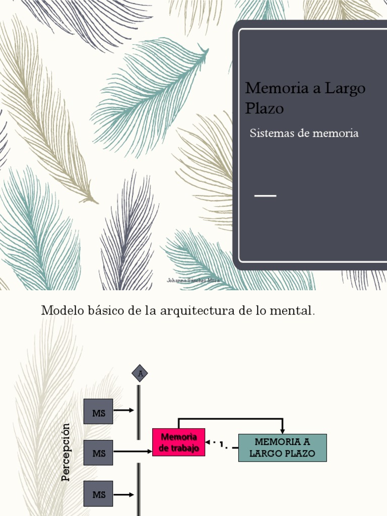 08 - Memoria A Largo Plazo Recuerdo y Sistemas | PDF | Memoria ...