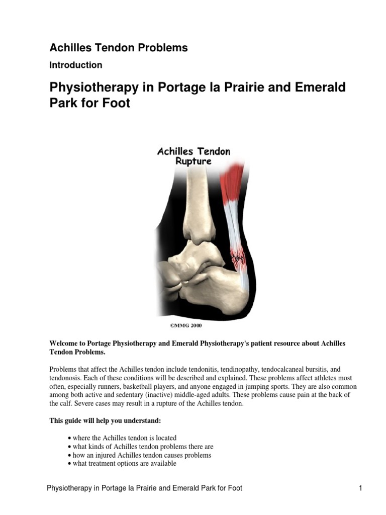 Article | PDF | Tendon | Physical Therapy