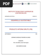 Actividad Práctica PBI Y Per Capita | PDF | Producto Interno Bruto | Economias