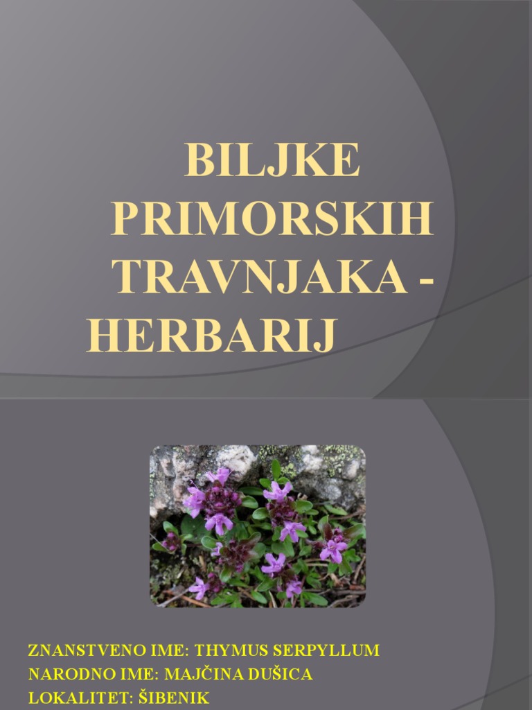 Biljke Primorskih Travnjaka - Herbarij | PDF