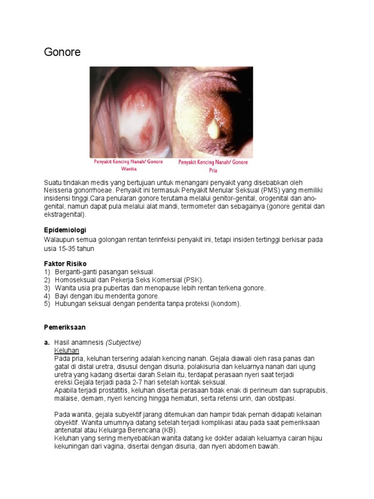 LO 3. Gonore | PDF | Sains & Matematika