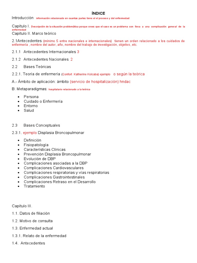 Esquema Pae | PDF | Enfermería | Ciencias de la Salud