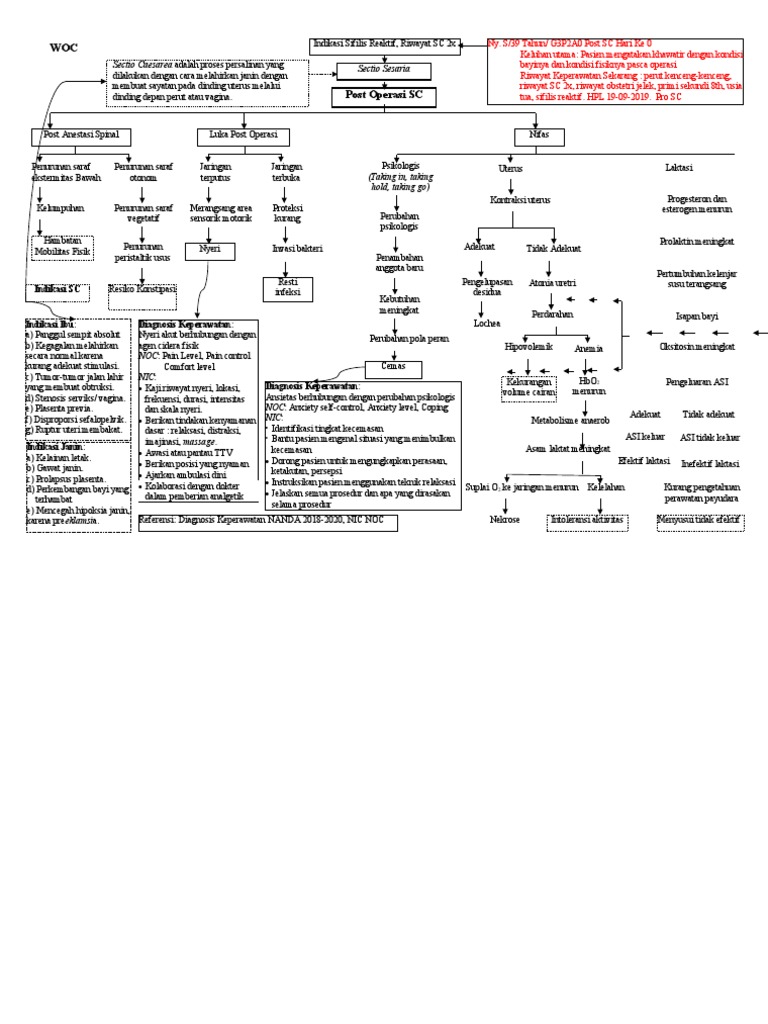 Pathway Nyeri Akut Pasca SC | PDF