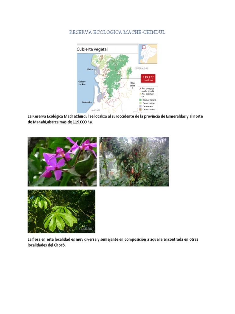 Reserva Ecológica Mache-Chindul: Biodiversidad | PDF