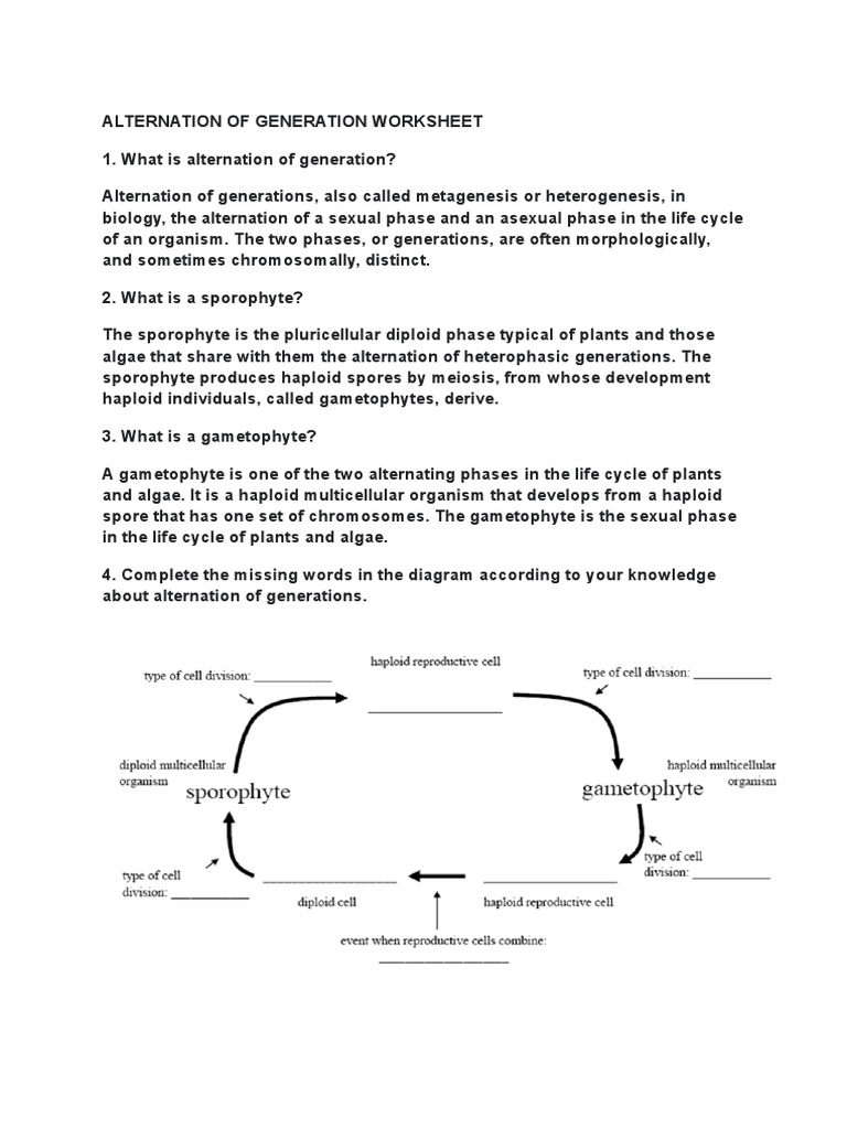 Alternation of Generation Worksheet | PDF
