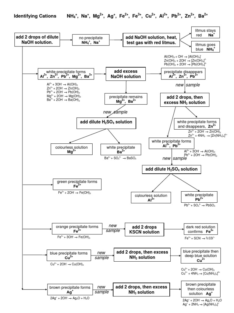 Che 21 Equations | PDF | Hydroxide | Molecules