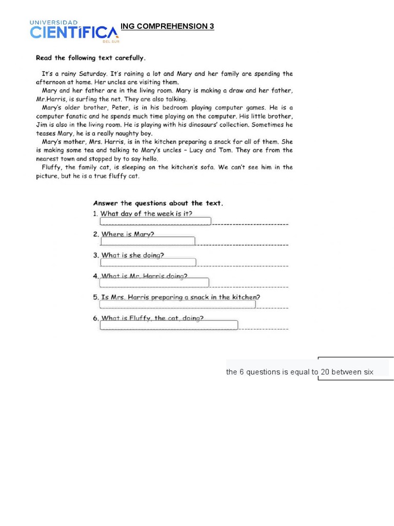 Reading Comprehension 3: The 6 Questions Is Equal To 20 Between Six | PDF