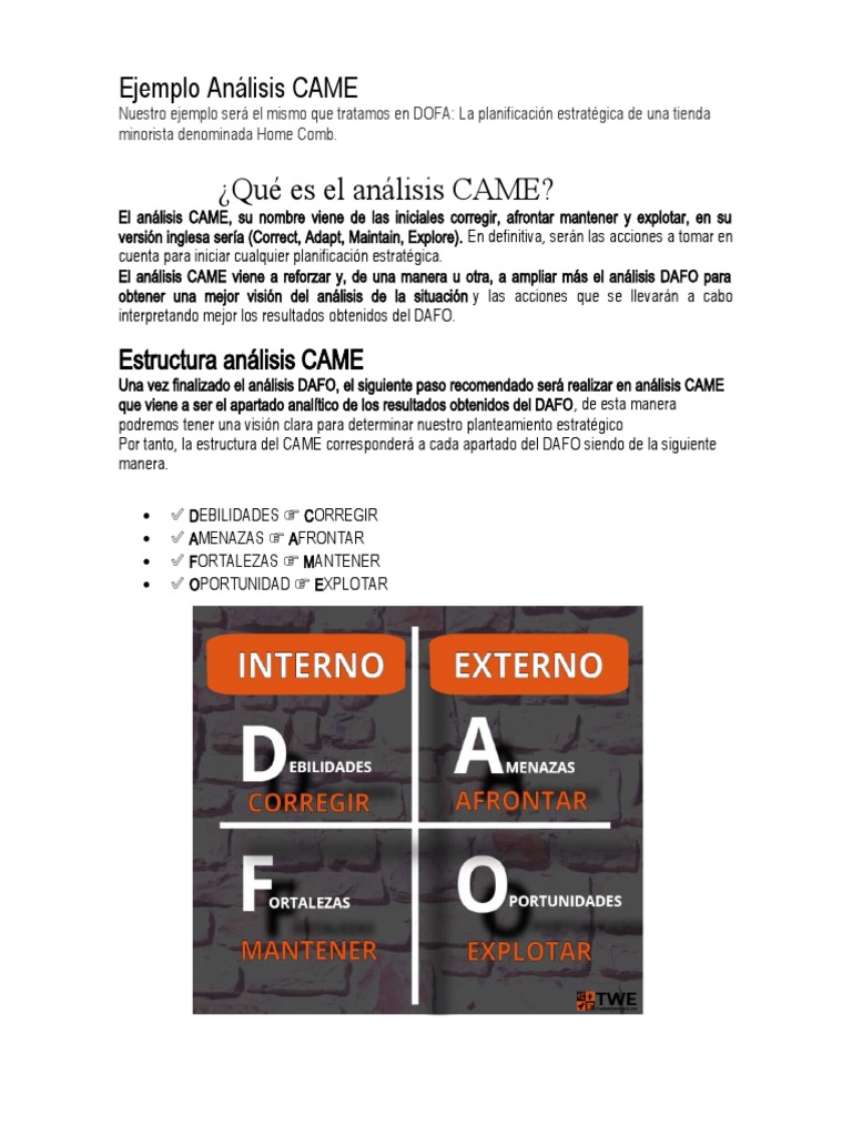 Ejemplo Análisis CAME | PDF | Análisis FODA | Marketing