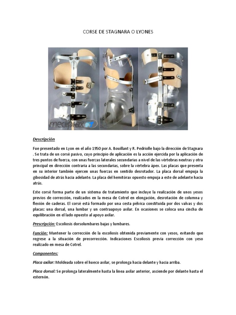 Corse de Stagnara o Lyones | PDF | Vértebra | Escoliosis