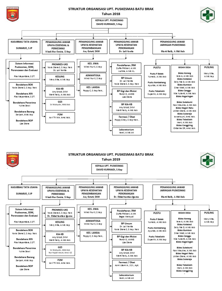 Struktur Organisasi Upt Puskesmas | PDF