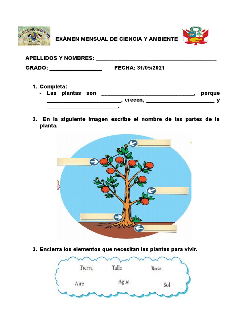 Ciencias De Primer Grado Exámen De Ciencia Y Ambiente Para Primer