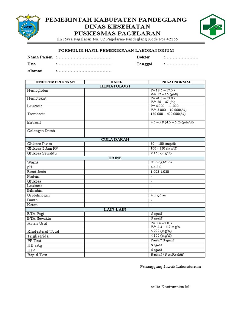 389414794-Form-Hasil-Pemeriksaan-Lab New | PDF